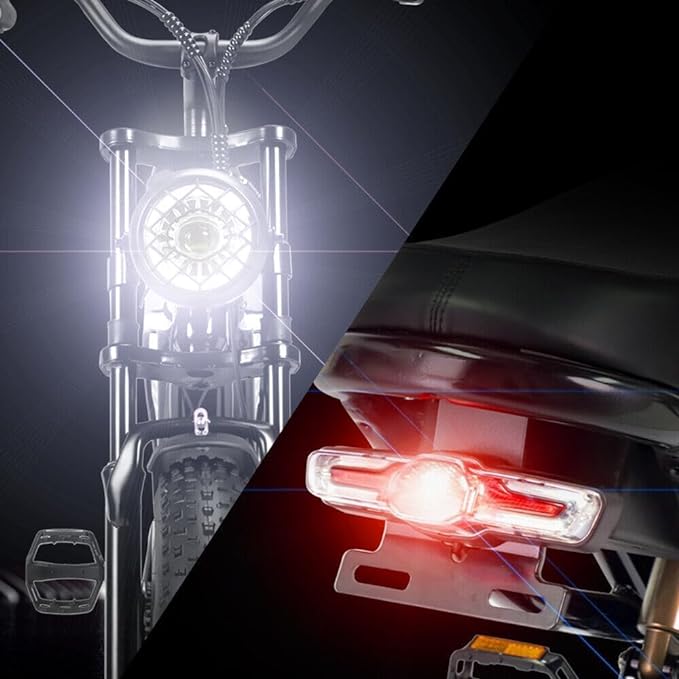 Ridstar Upgraded Q20 1500W Fat Tire Electric Bicycle Online – Ridstarebike